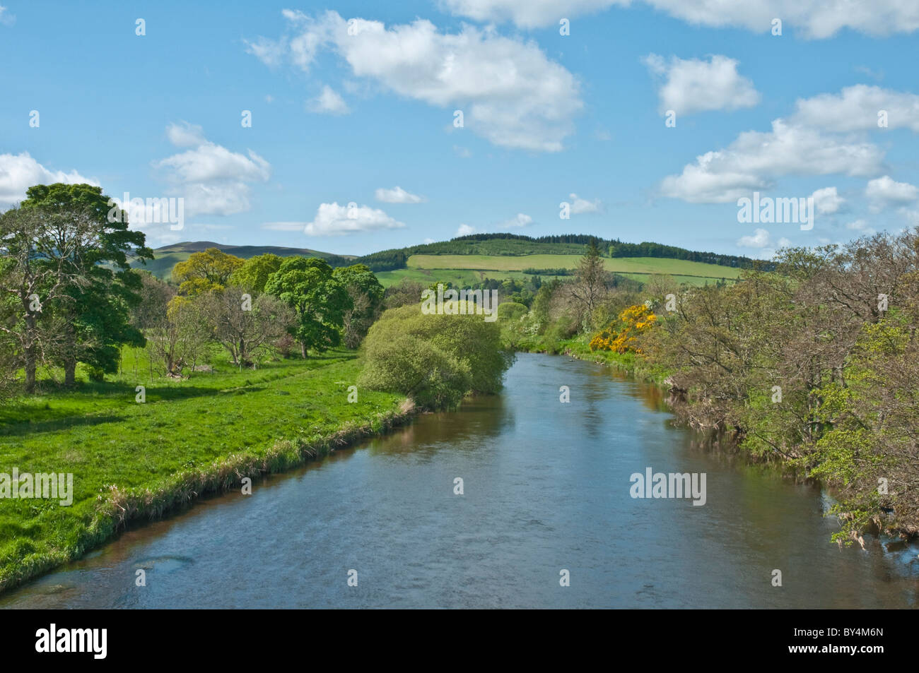 River Tweed nr Peebles Scottish Borders Scotland Stock Photo - Alamy