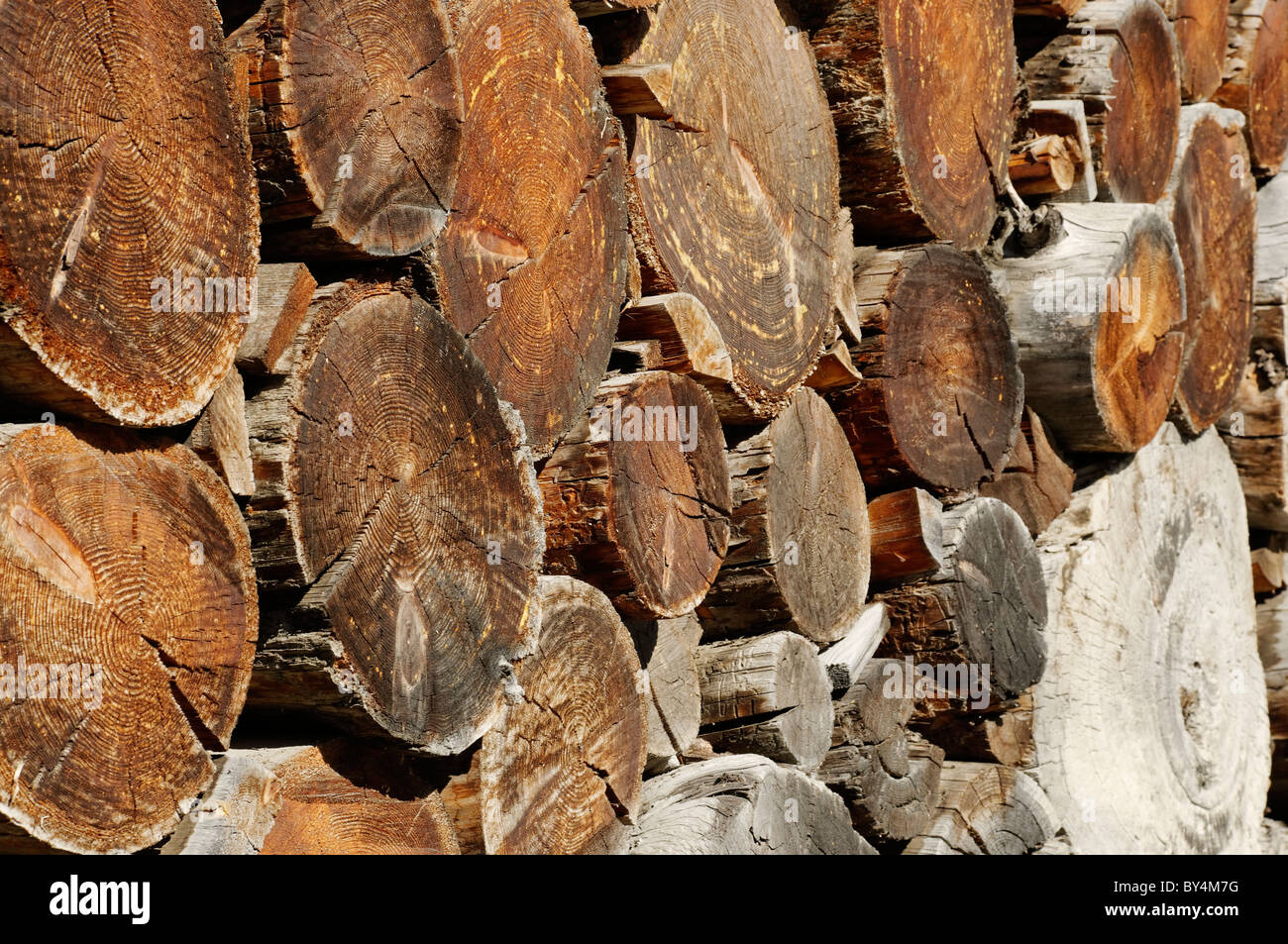 Drying timber hi-res stock photography and images - Alamy