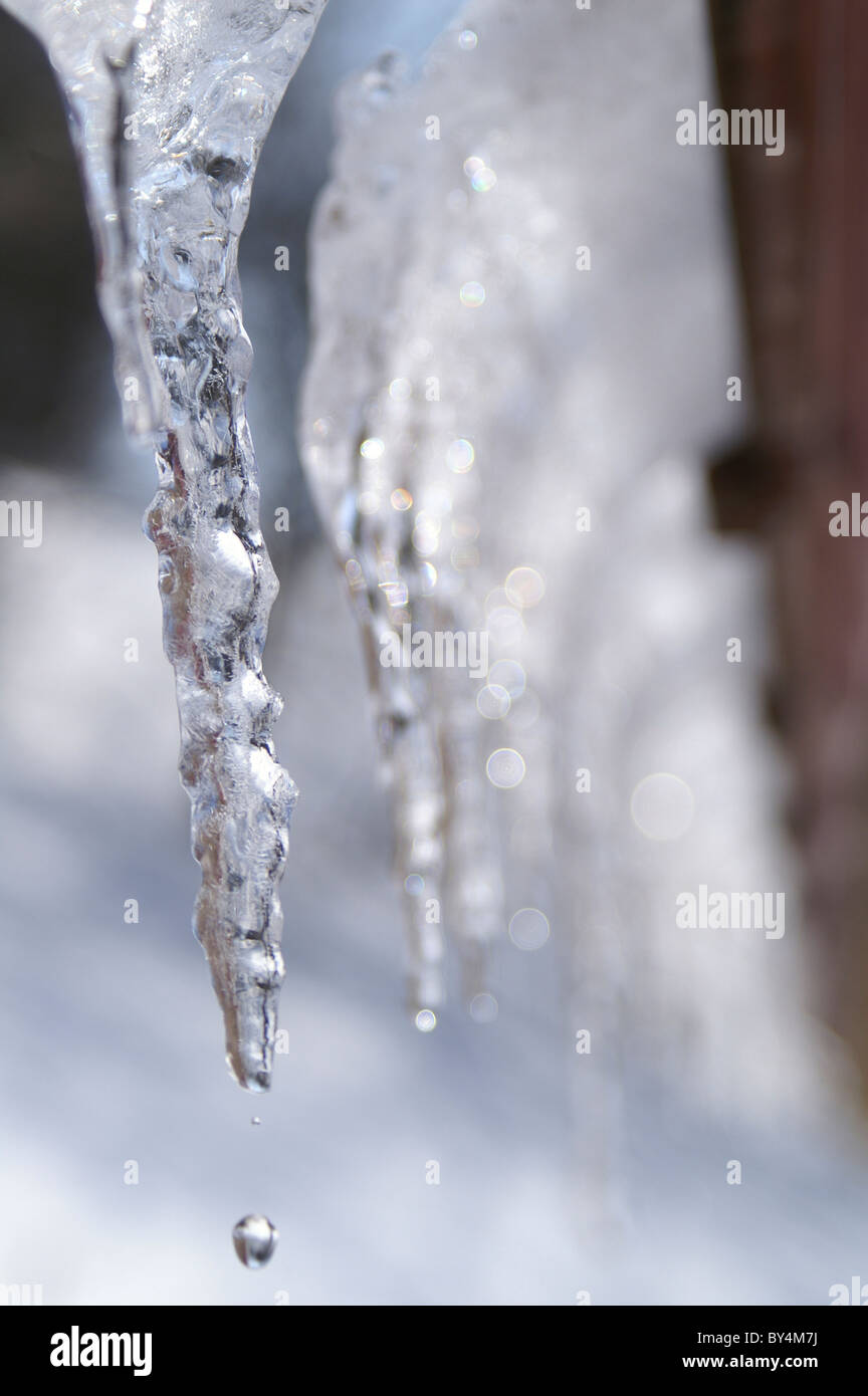 Close up melting icicle dripping hi-res stock photography and images ...