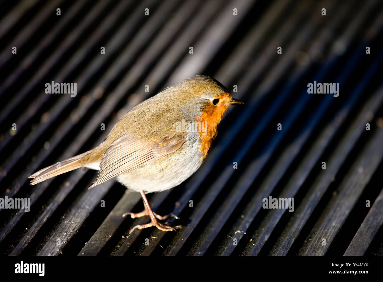 Carrickshore hi-res stock photography and images - Alamy