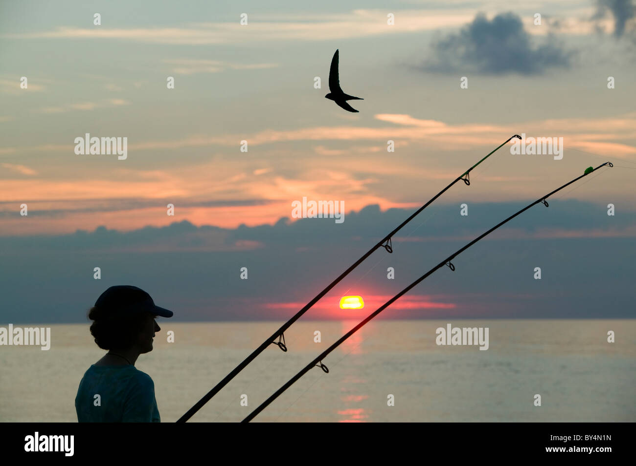 Woman fishing off beach hi-res stock photography and images - Alamy