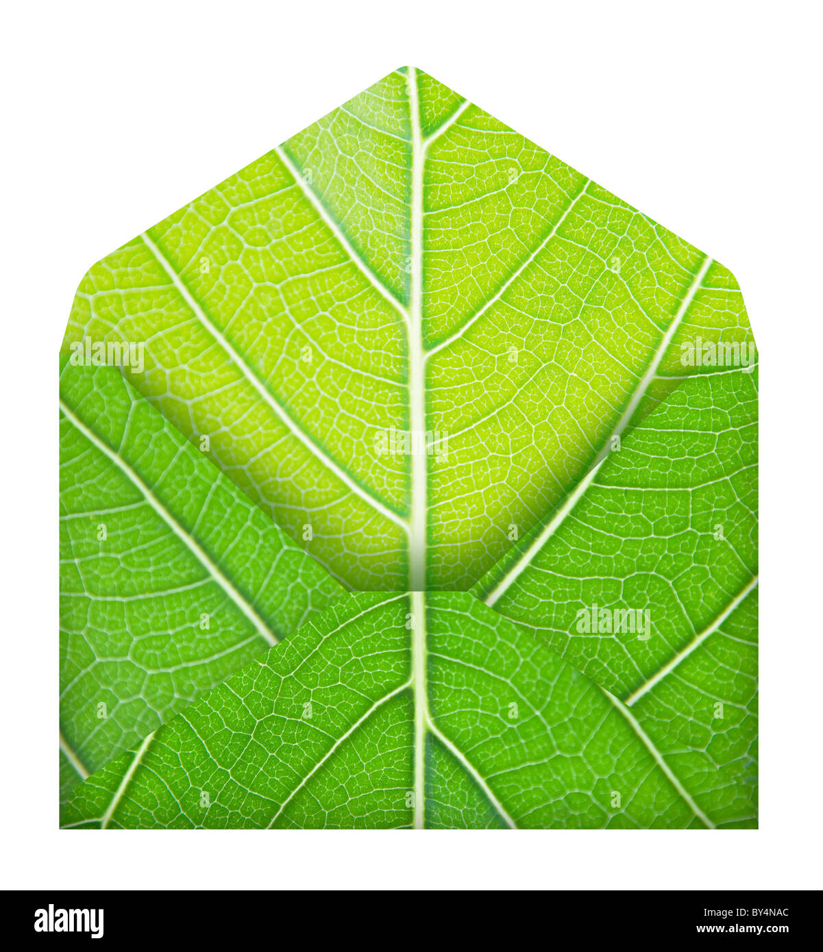 Envelope Made From Leaf Stock Photo - Alamy