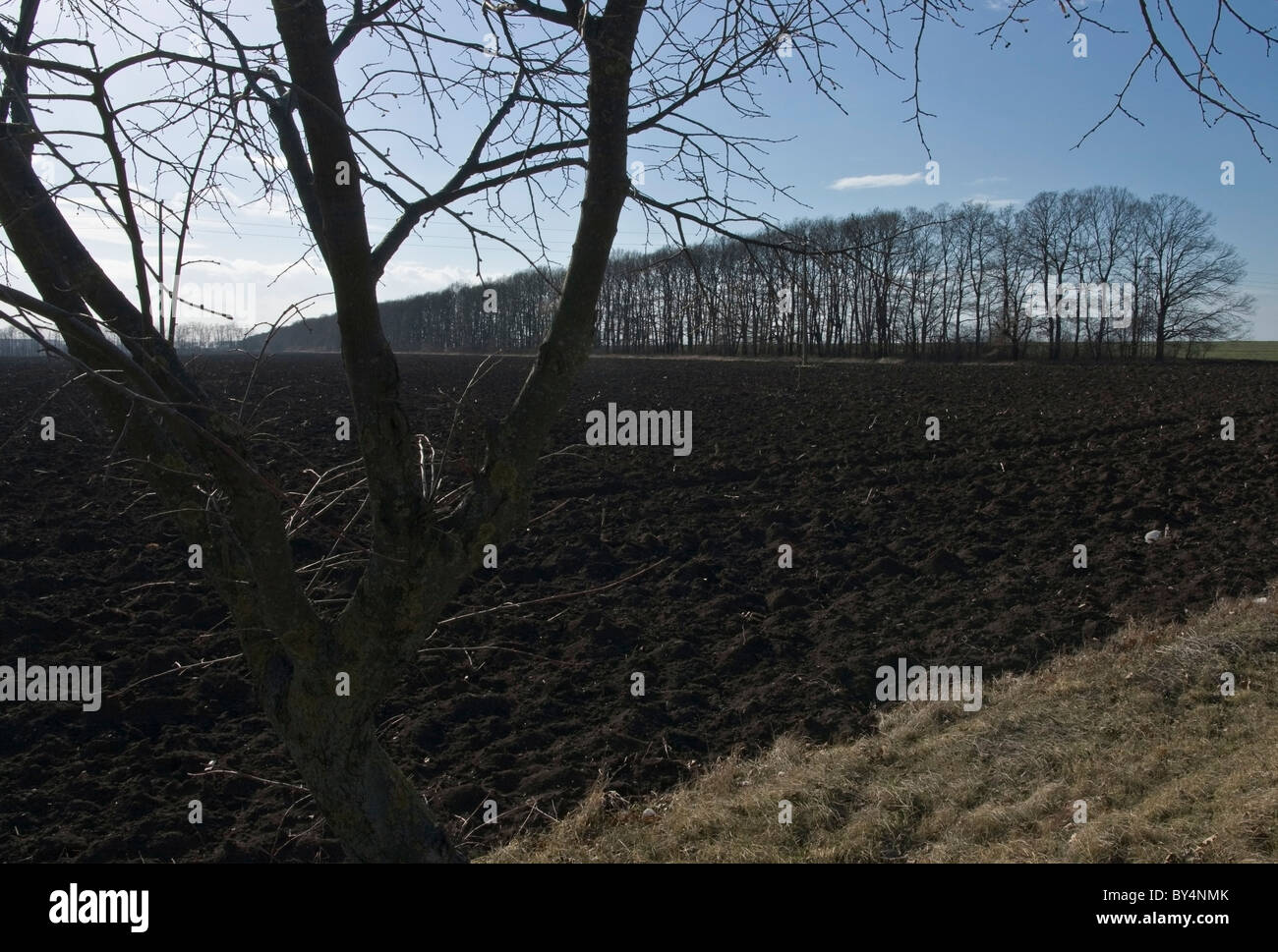 Dobrudja hi-res stock photography and images - Alamy
