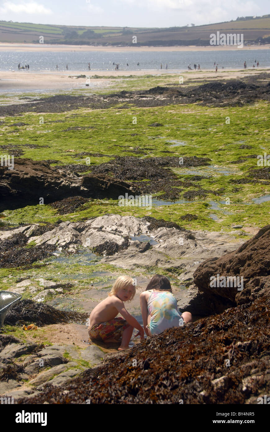 Wilf and Phoebe fishing around in a rockpool, Daymer Bay, Cornwall ...