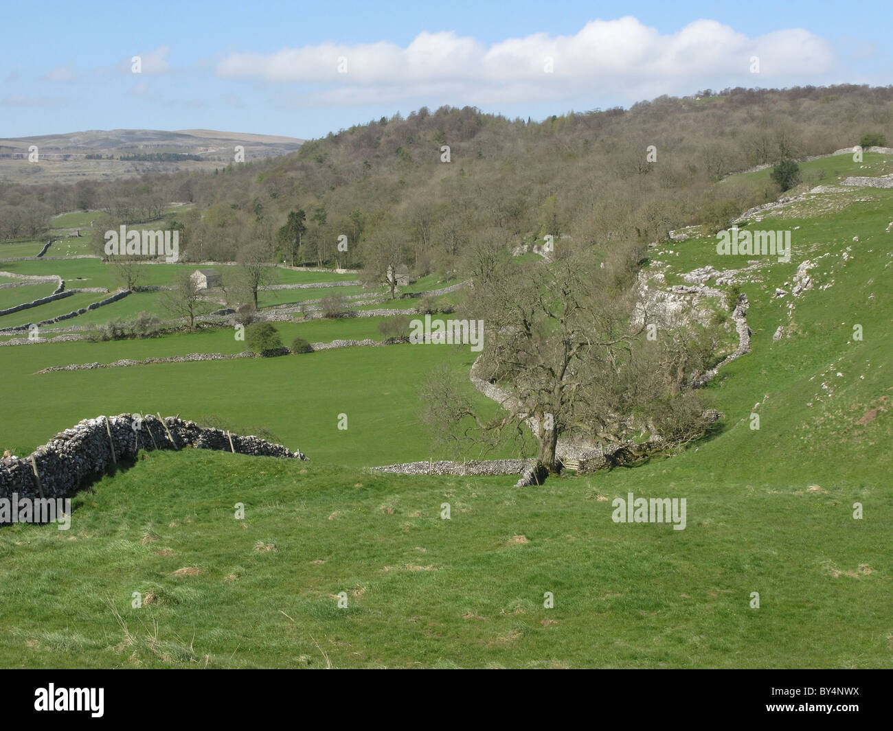 Bastow wood hi-res stock photography and images - Alamy