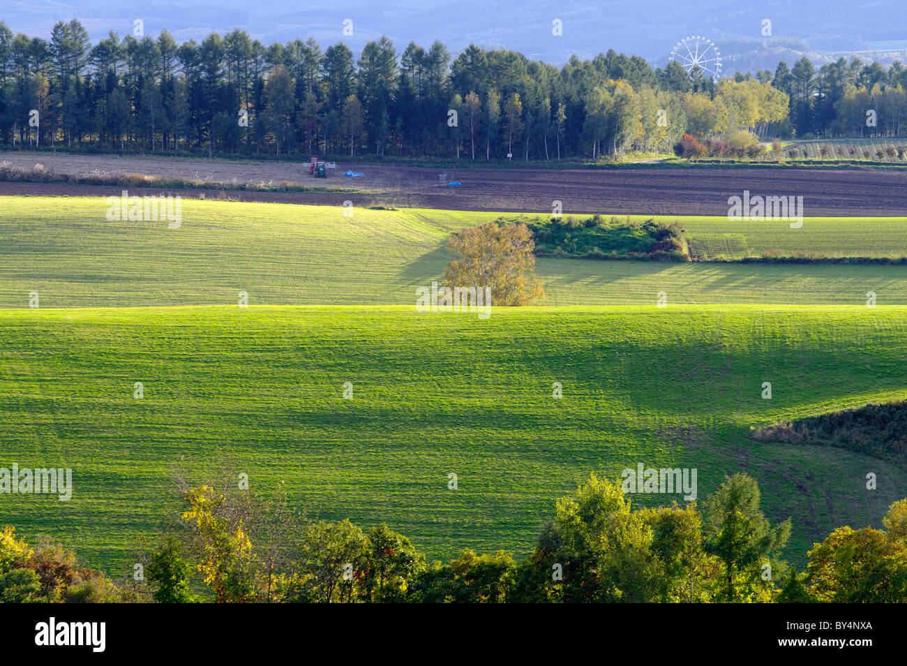 Autumn scene in fields hi-res stock photography and images - Alamy