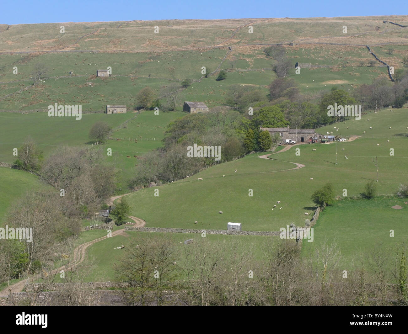 Stone barns, farm buildings and fields, Dentdale, Cumbria, England, UK ...