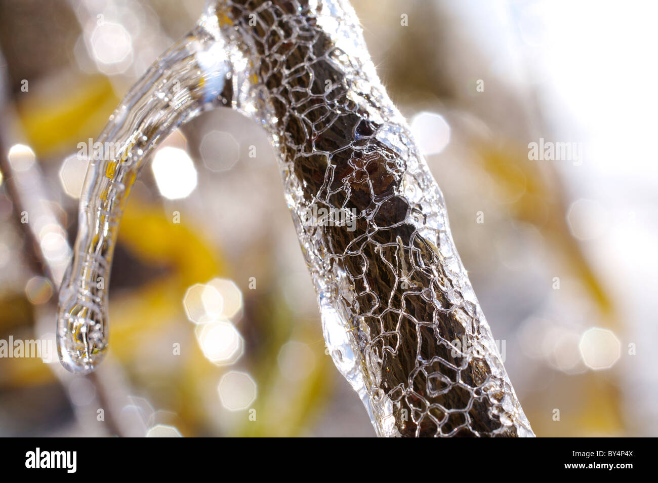 Covered in ice hi-res stock photography and images - Alamy