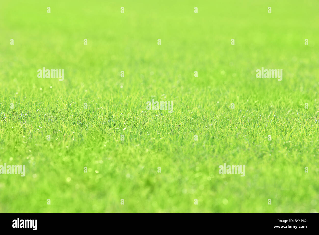 Lawn hi-res stock photography and images - Alamy
