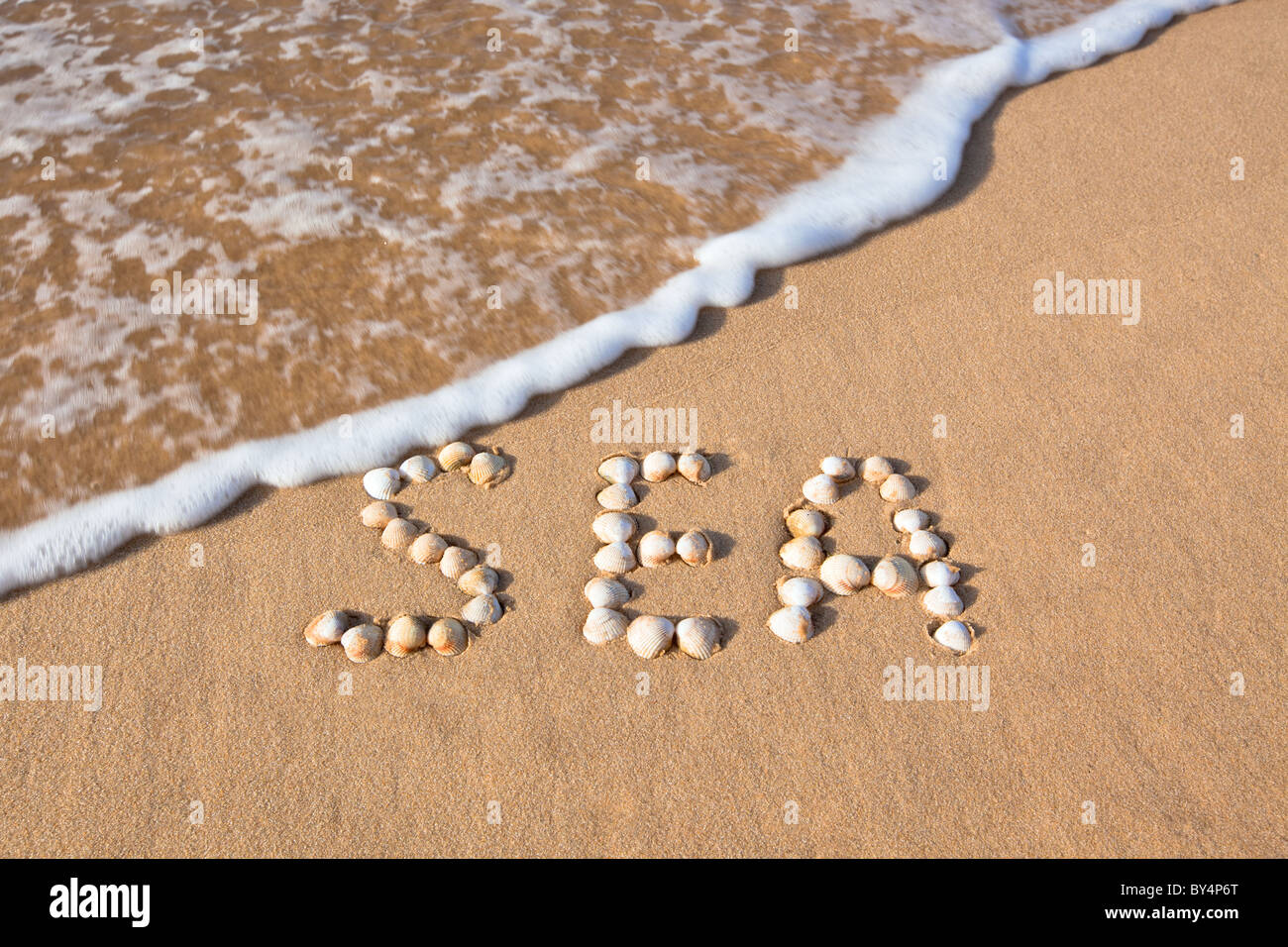 word "sea" shell written on beach sand. horizontal shot Stock Photo - Alamy