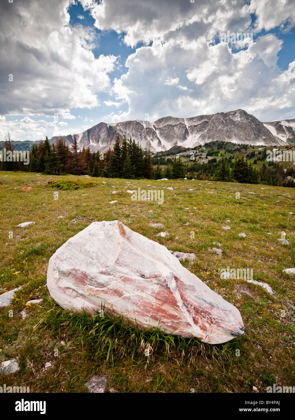 Medicine Bow Mountain national forest, A Wyoming national park Stock ...