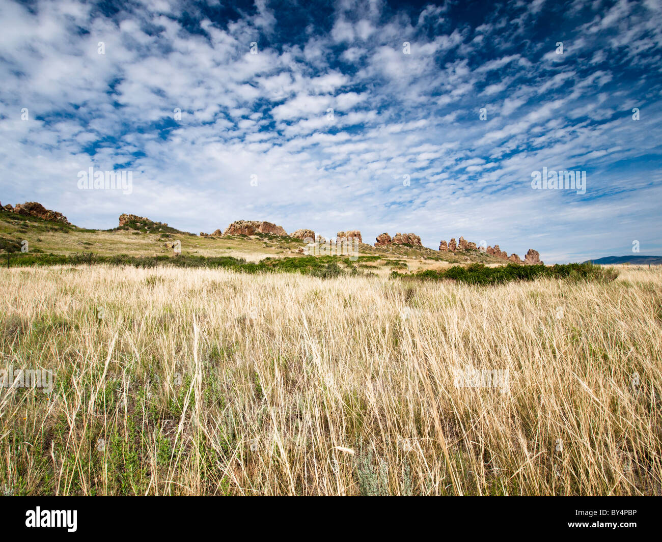 Backbone hi-res stock photography and images - Alamy