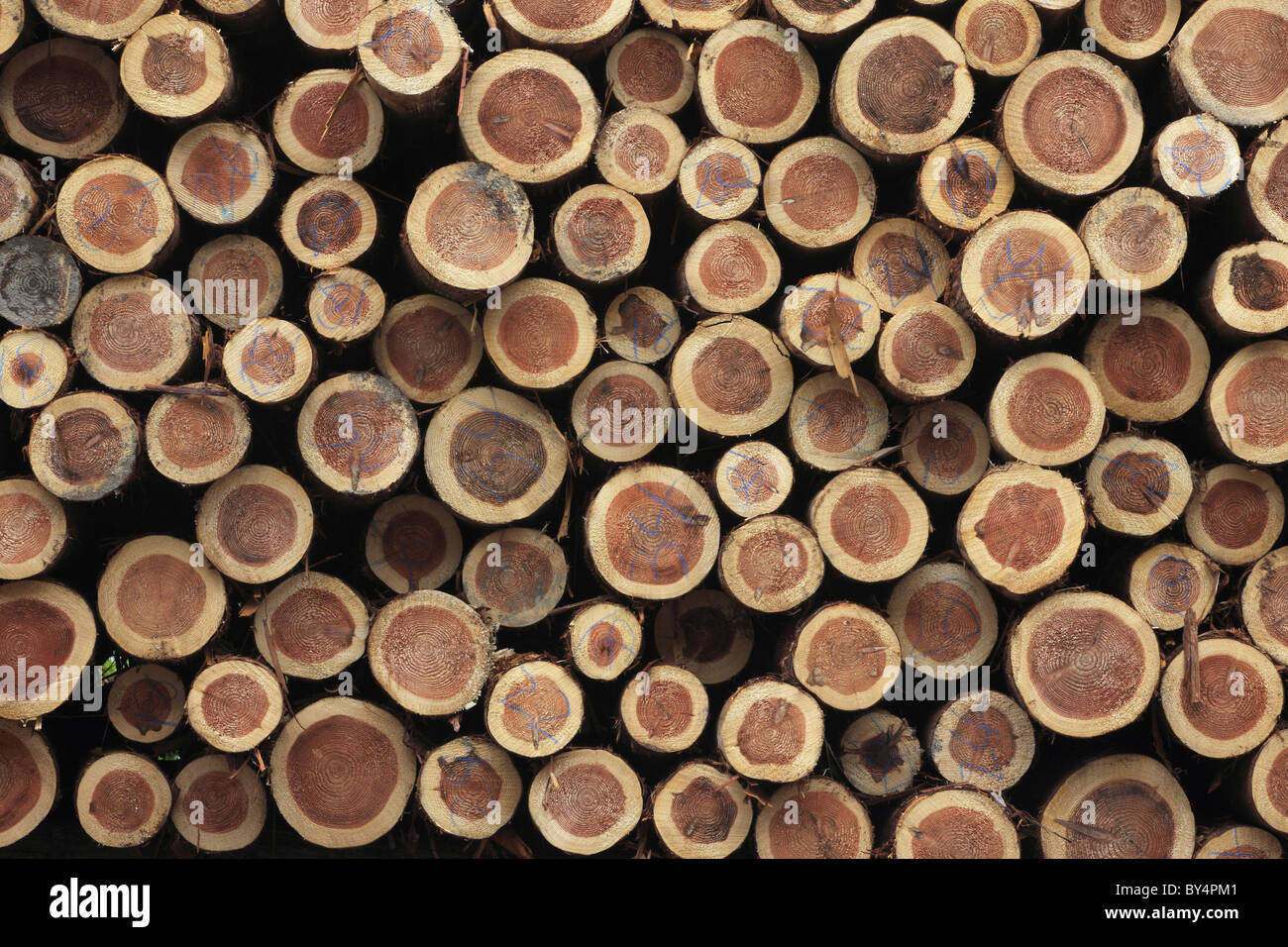 Stack of logs Stock Photo - Alamy