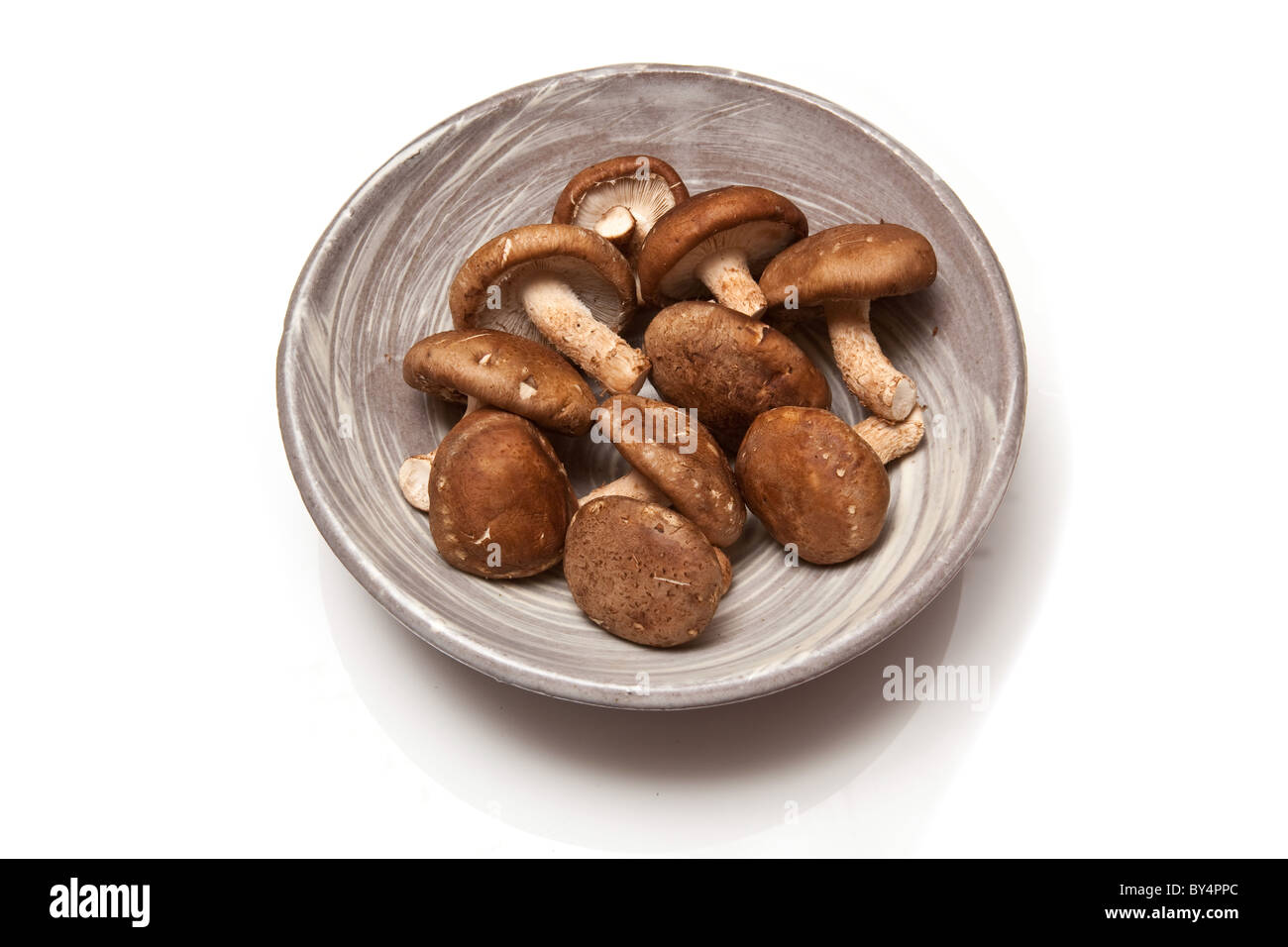 Bowl of Chinese Shiitake mushrooms isolated on a white studio ...