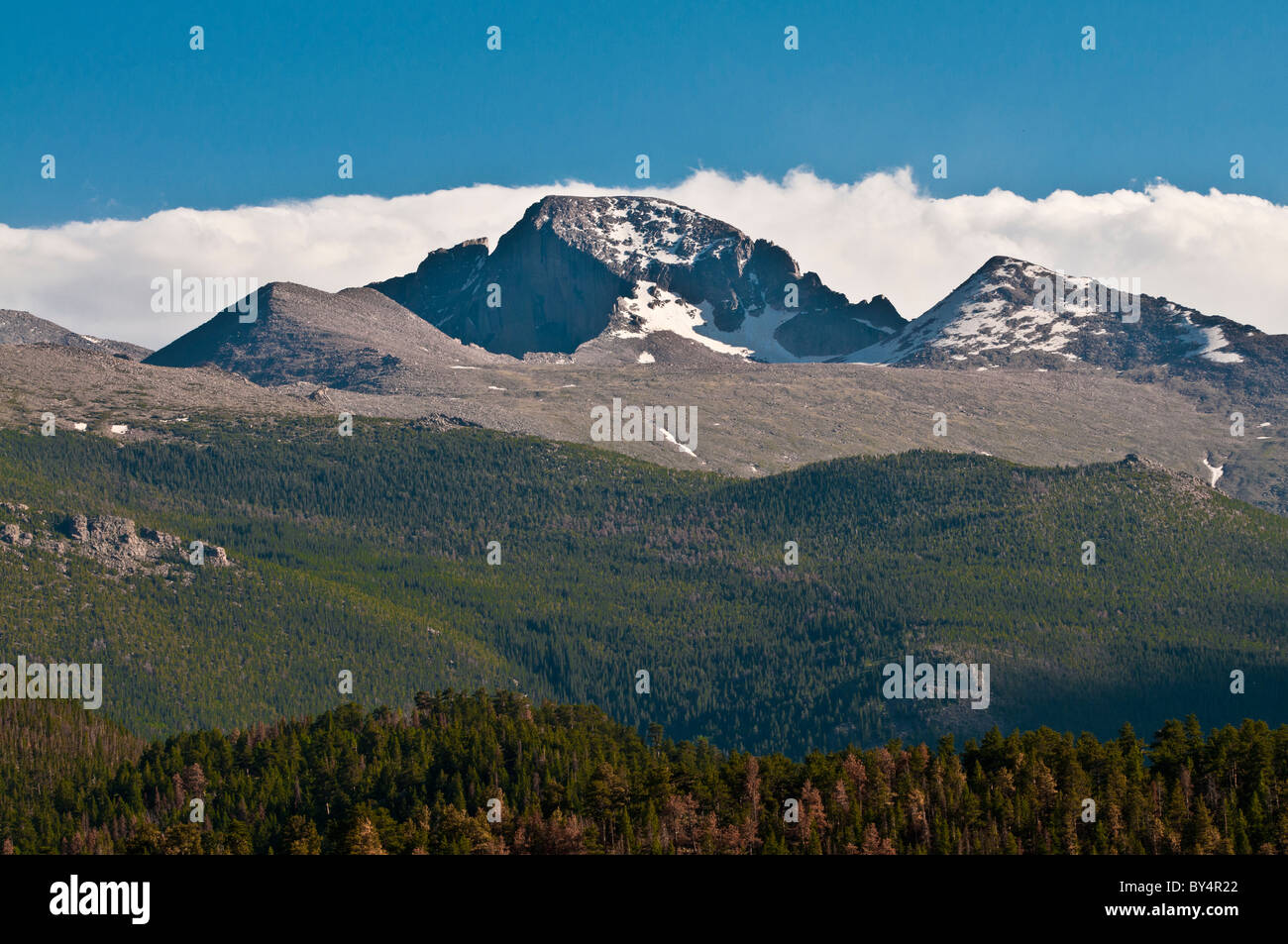 Longs Peak still snowcapped in early summer with miles of greenery ...