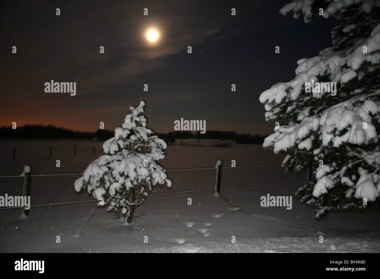 Red moon tree hi-res stock photography and images - Alamy