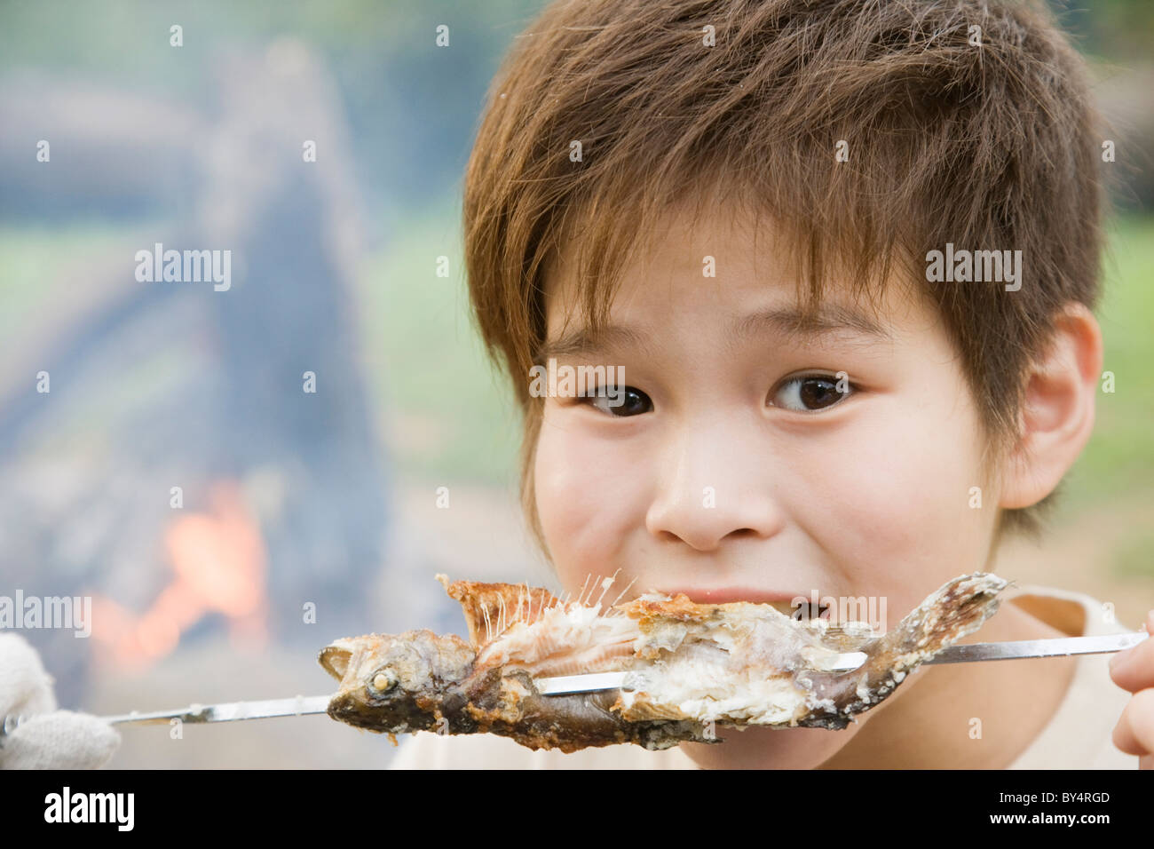 Boy eating fish on skewer, Chiba Prefecture, Honshu, Japan Stock Photo ...