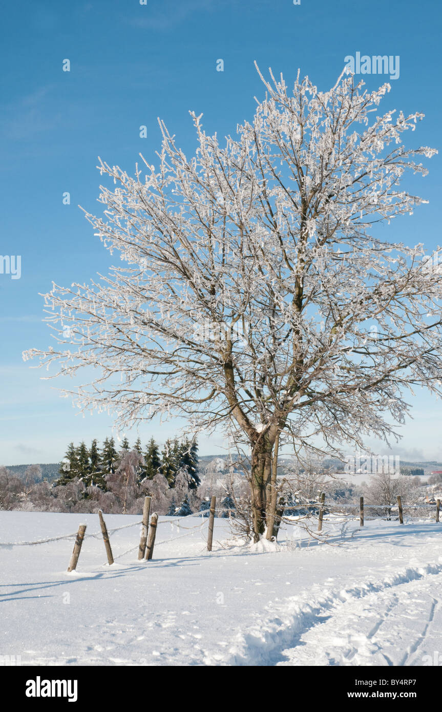 Hochsauerland hi-res stock photography and images - Alamy