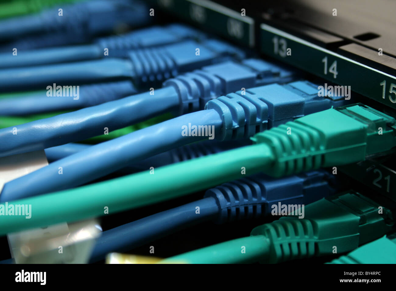 Ethernet cables connected to a switch, blue and green Stock Photo - Alamy