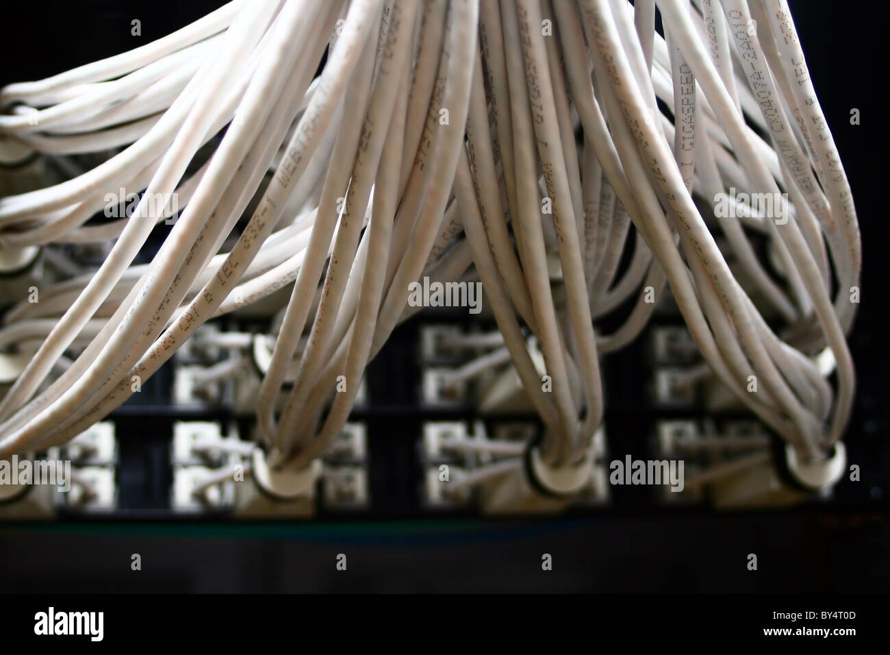 Ethernet cables on the backside of the connection, bundled Stock Photo ...