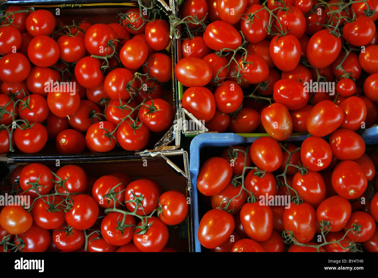 Germany Bavaria Berchtesgaden land Bavarian fruits and vegetables in ...