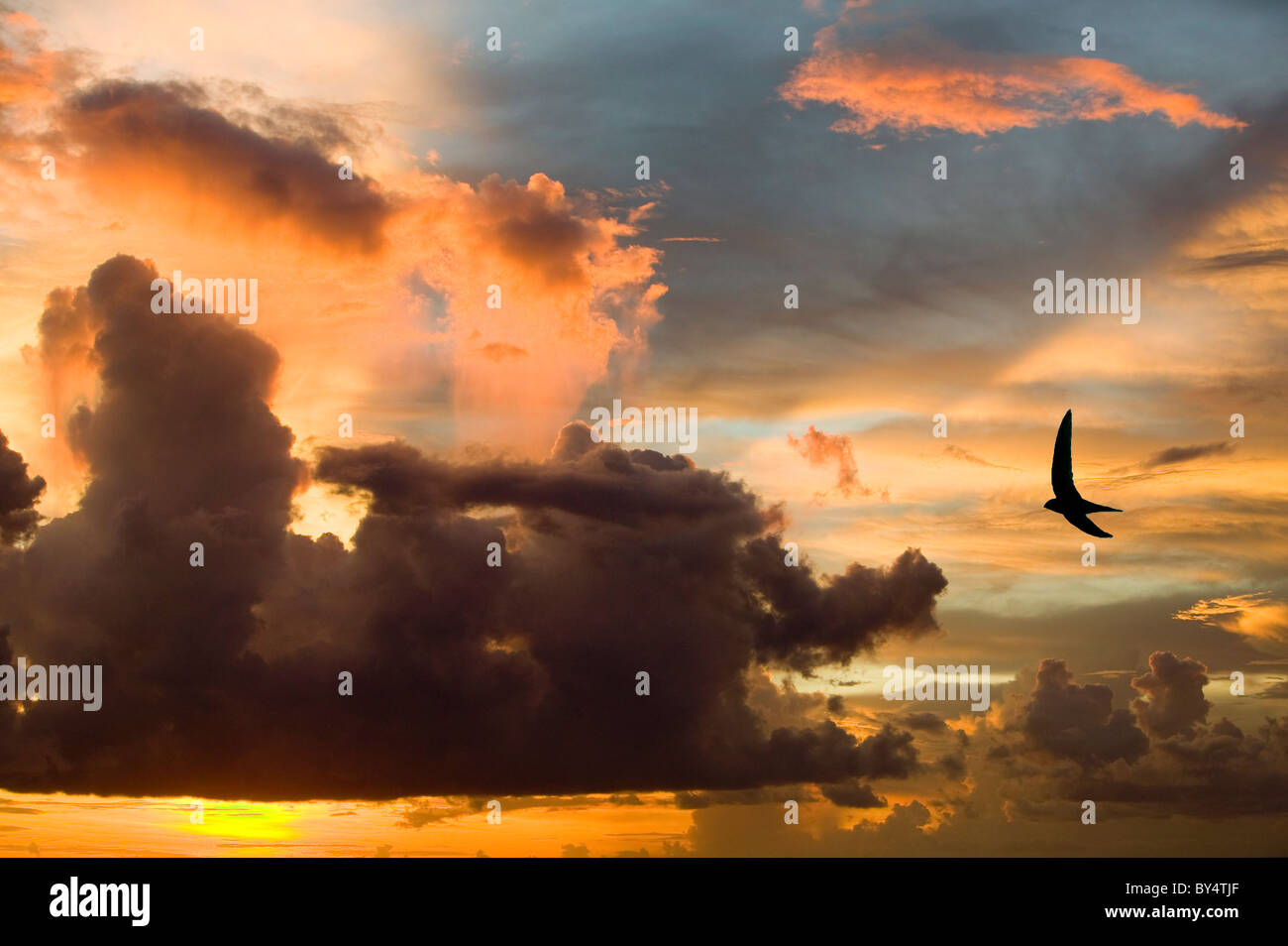 Sunset from Funafuti Tuvalu Stock Photo - Alamy