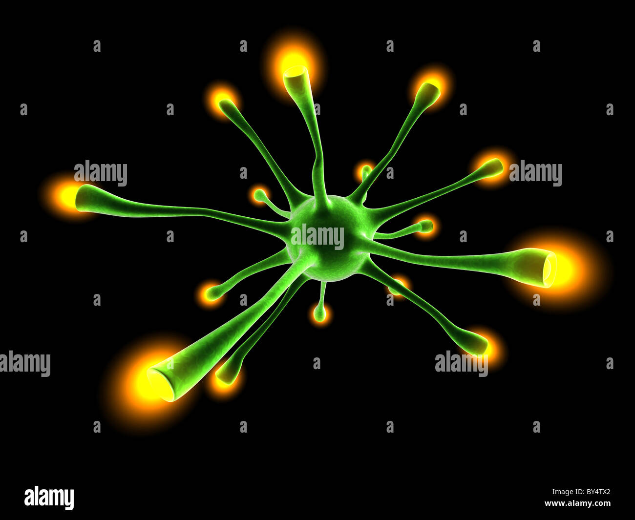 Neuro logical hi-res stock photography and images - Alamy