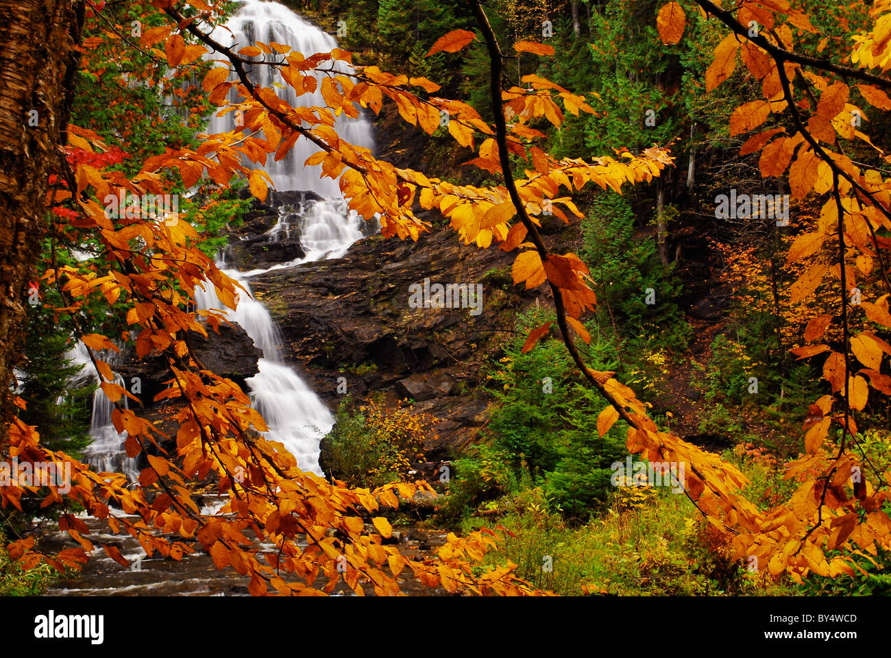 Foliage and The Falls Stock Photo - Alamy