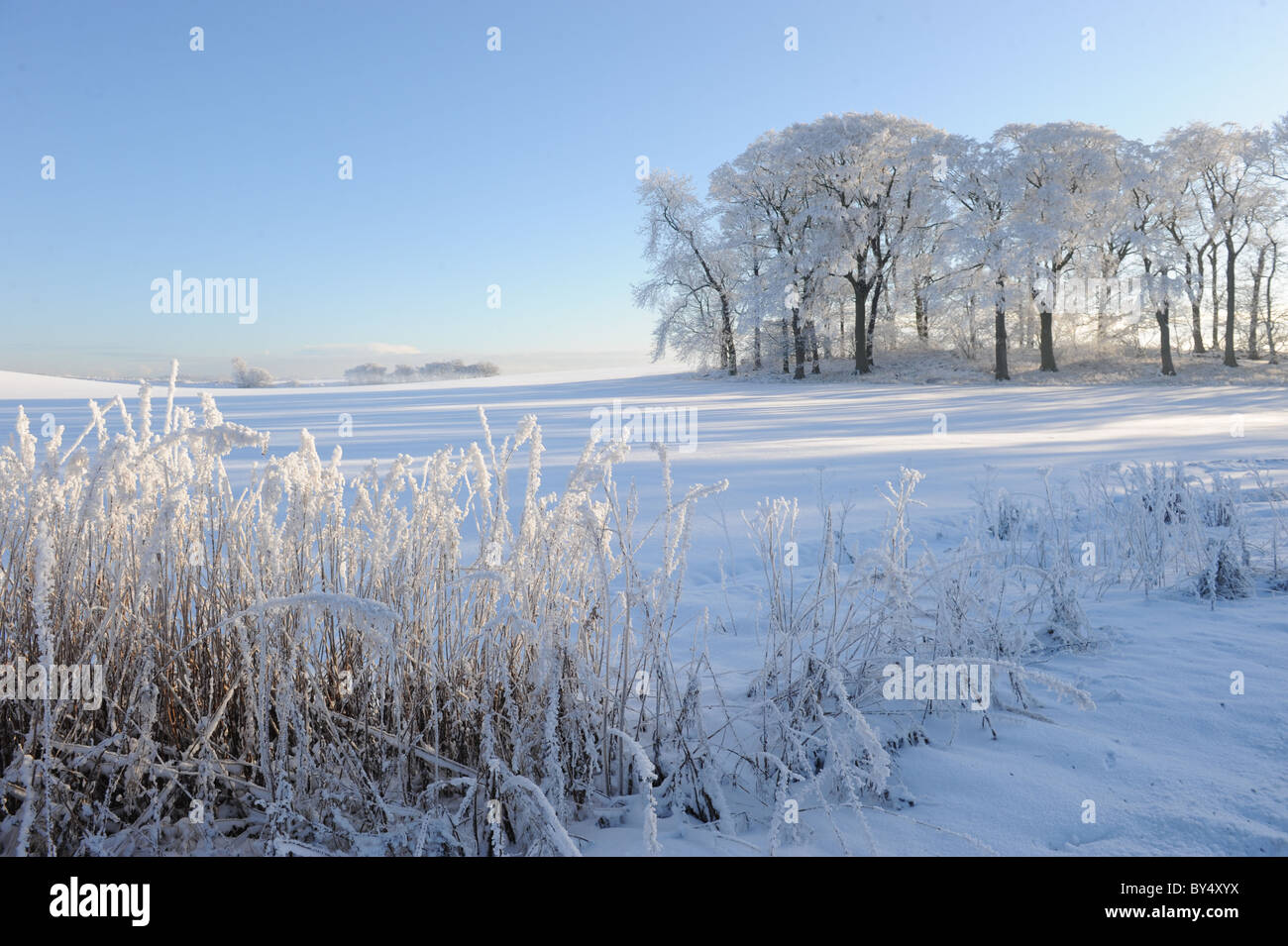 Frosty snowy winter morning Stock Photo - Alamy