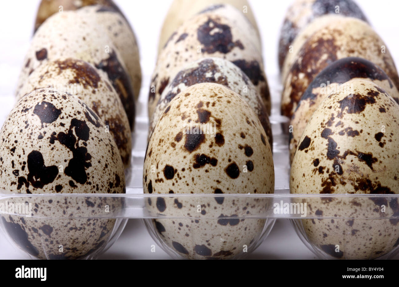 Pack food animal hi-res stock photography and images - Alamy