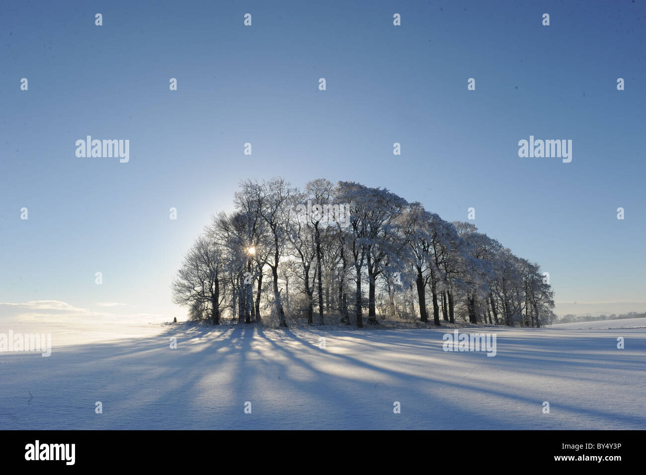 Crisp frosty snowy winter morning Stock Photo - Alamy