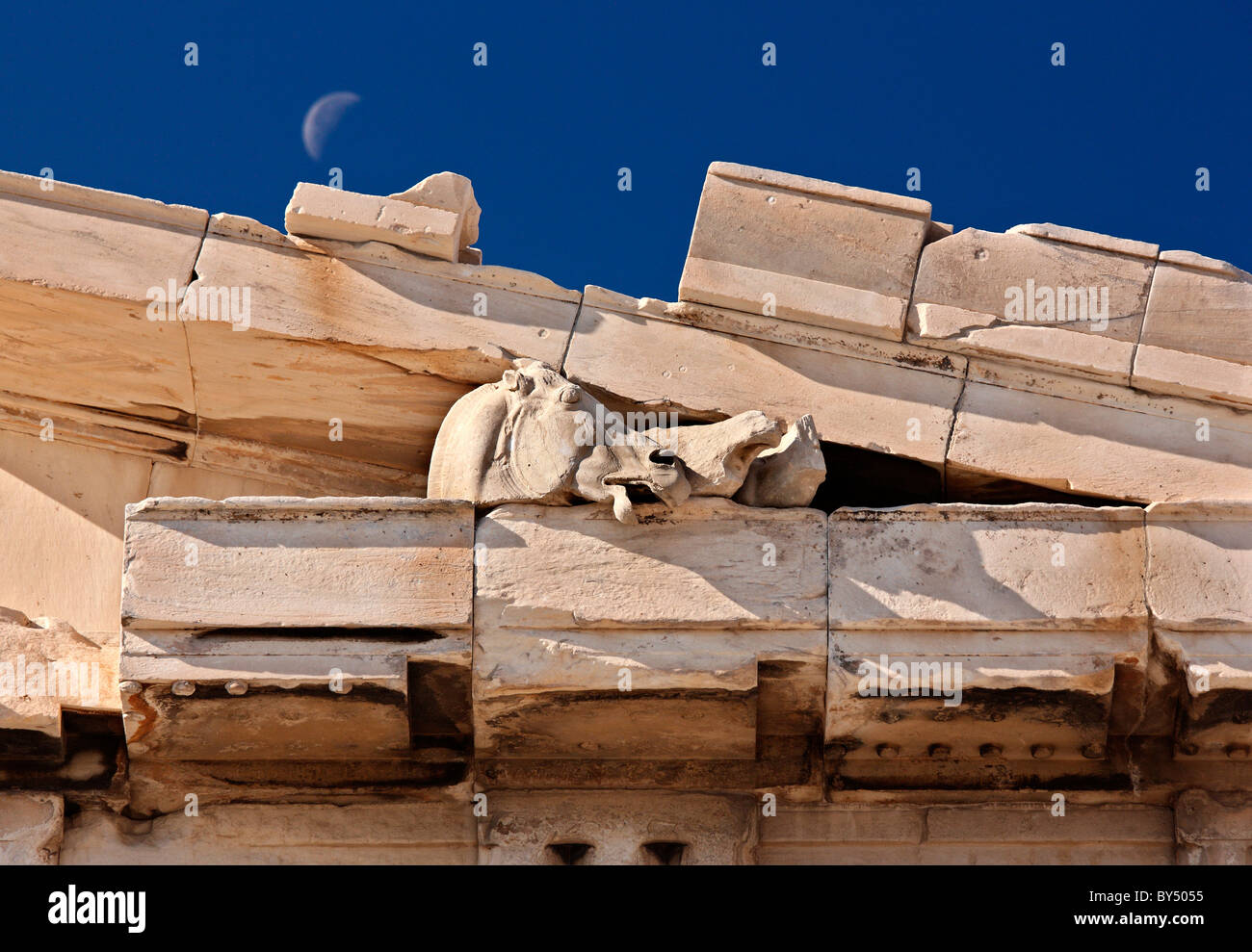 Horse Acropolis Museum High Resolution Stock Photography and Images - Alamy