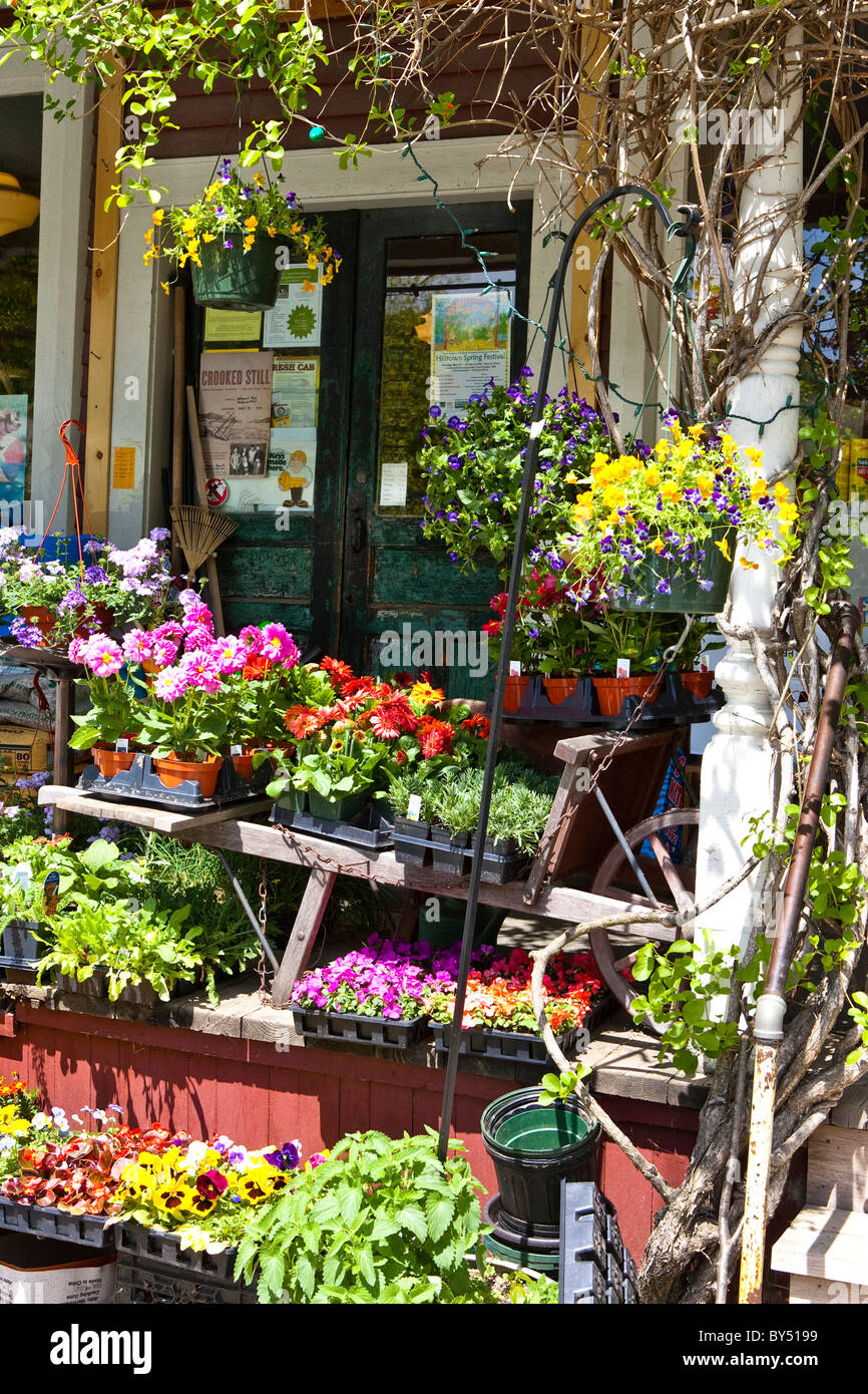 Store front with flowers hi-res stock photography and images - Alamy