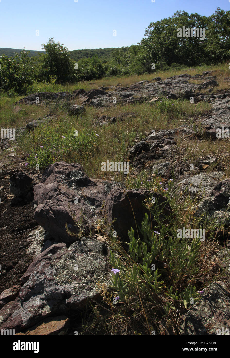 Missouri taum sauk mountain hi-res stock photography and images - Alamy