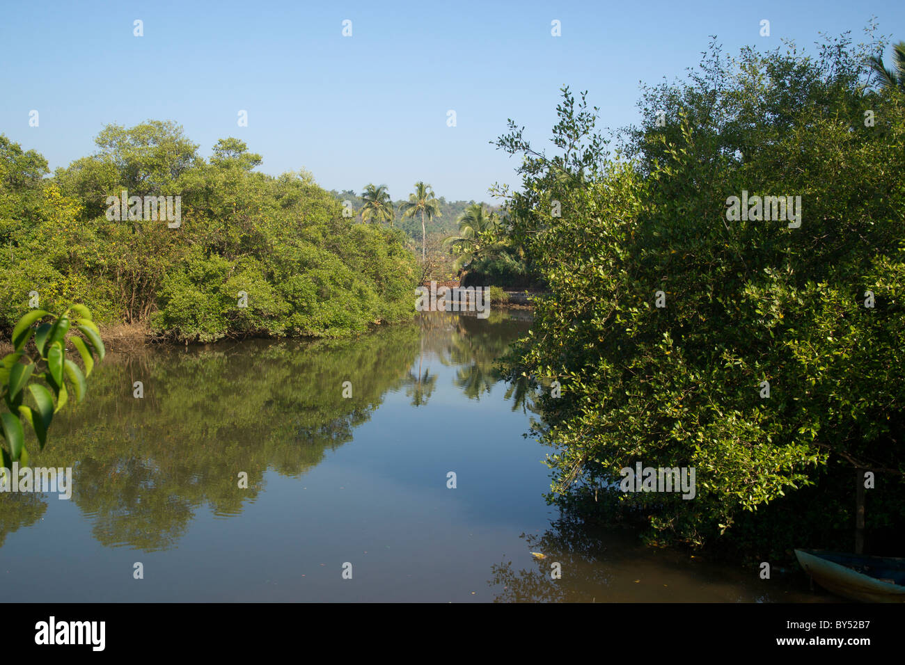Baga River Arpora, Goa, India Stock Photo - Alamy