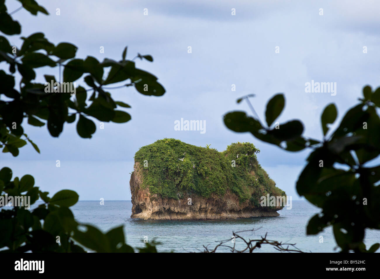 Cocles Rock and Caribbean sea framed by the jungle foliage along the ...
