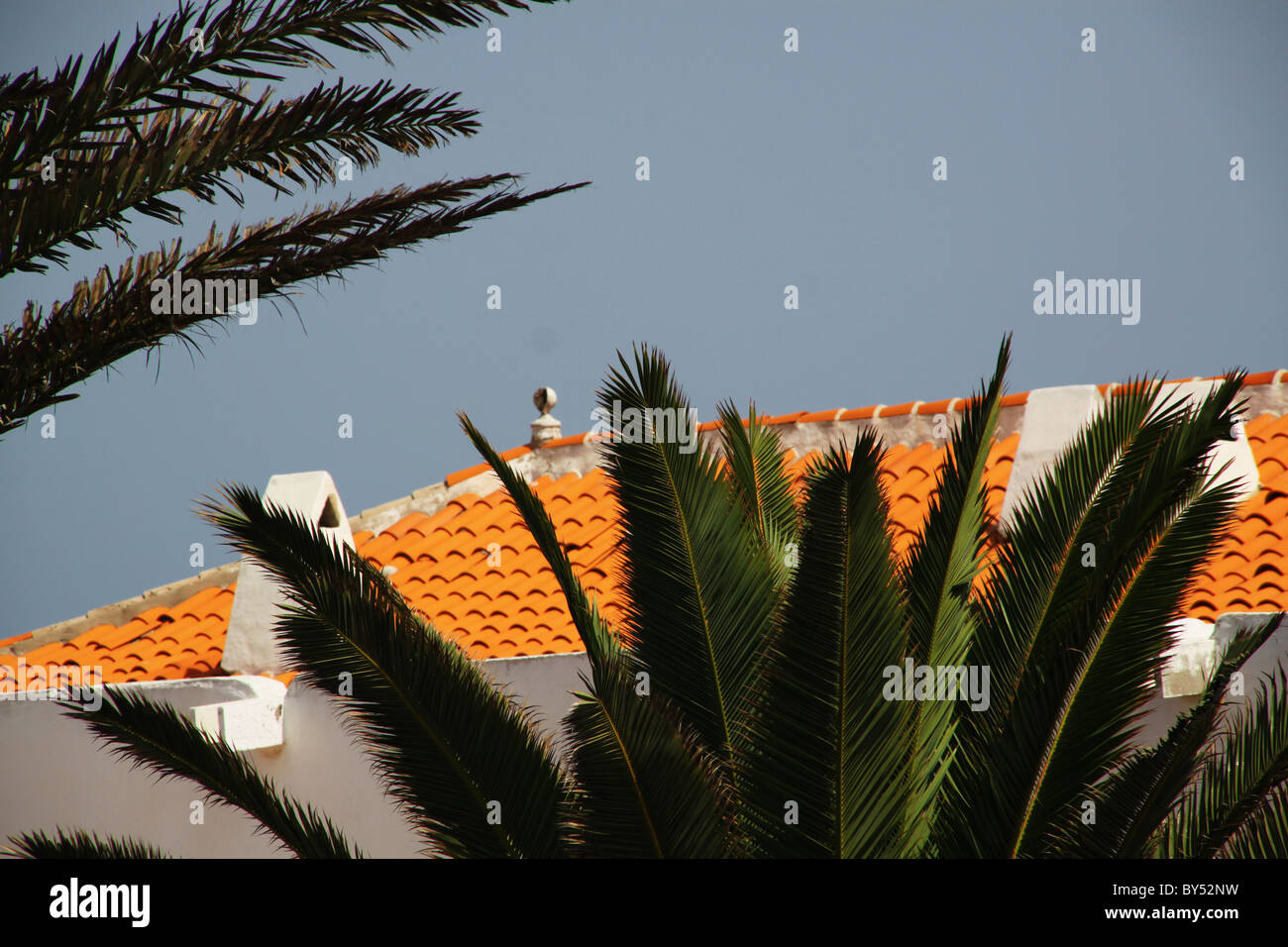 Spanish apartment roof and balcony with palm trees Stock Photo - Alamy