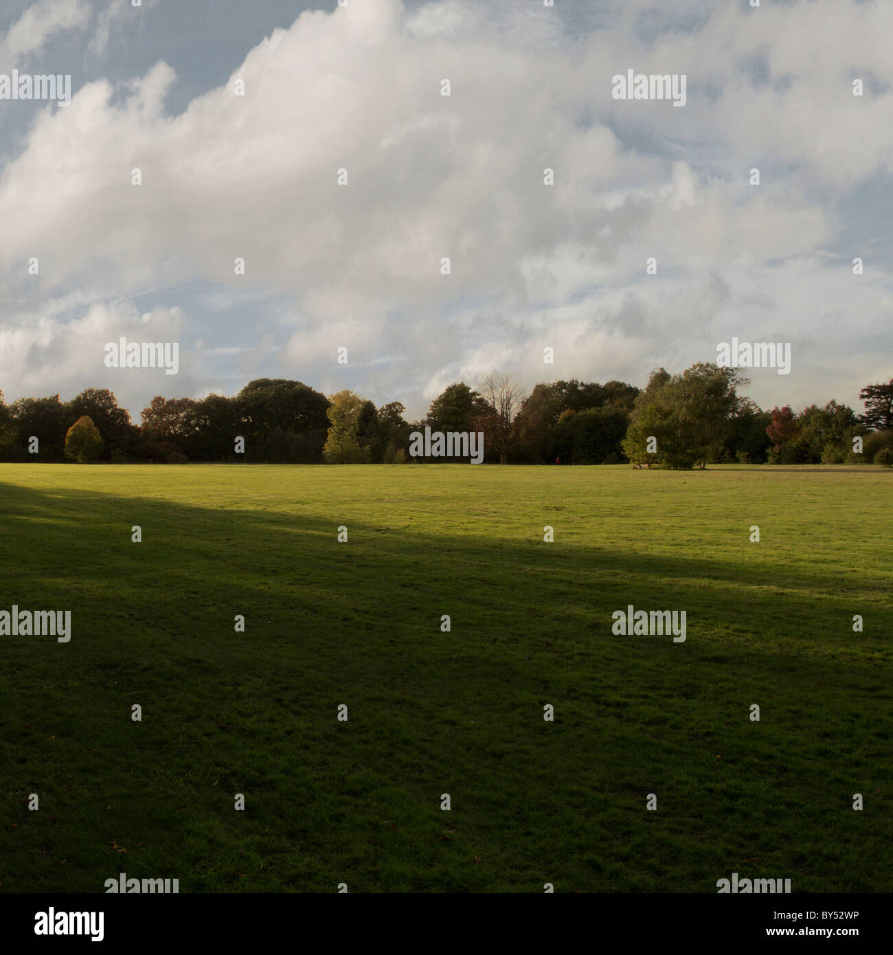 Danbury Park England High Resolution Stock Photography and Images - Alamy