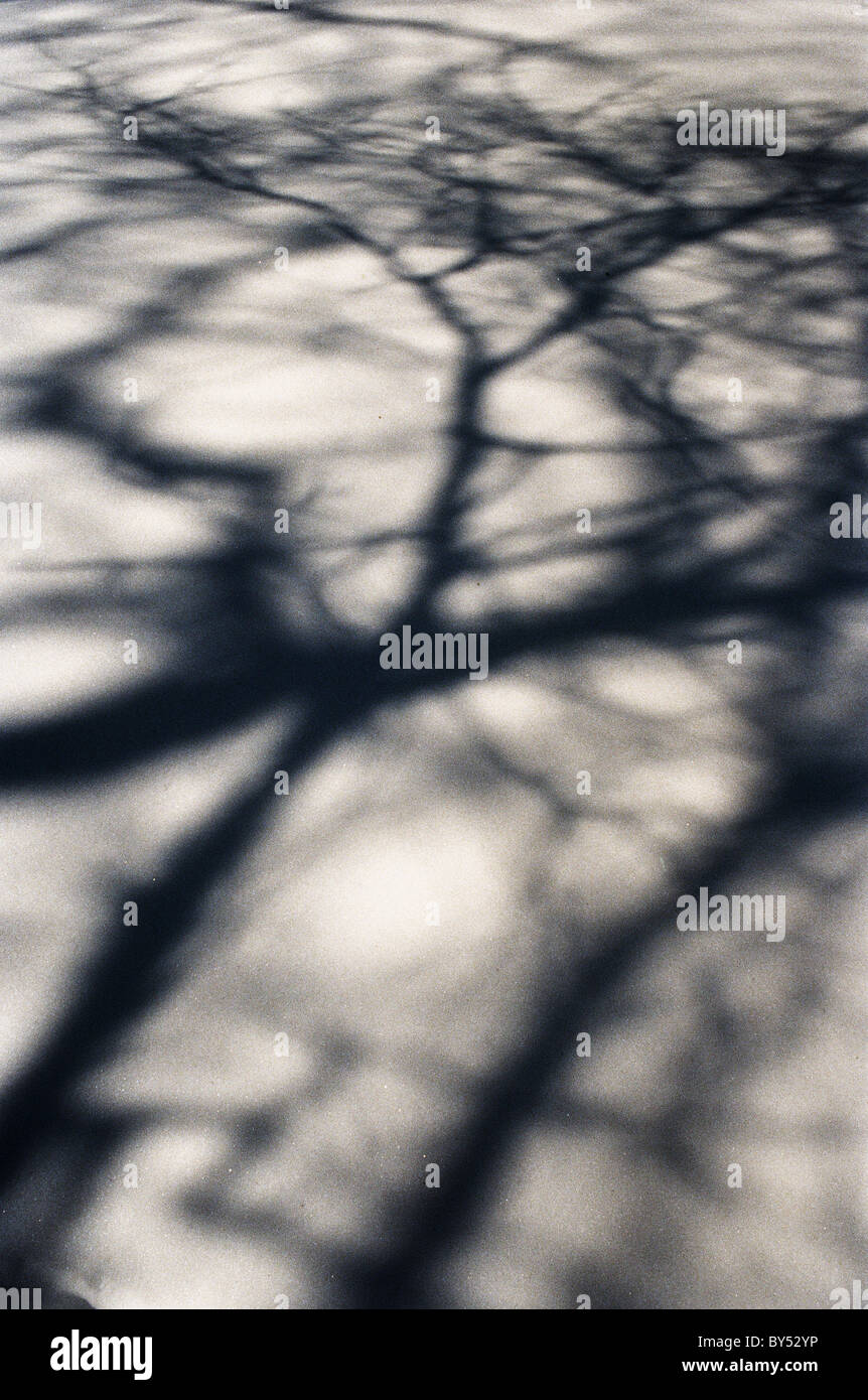 Slippery shadows hi-res stock photography and images - Alamy