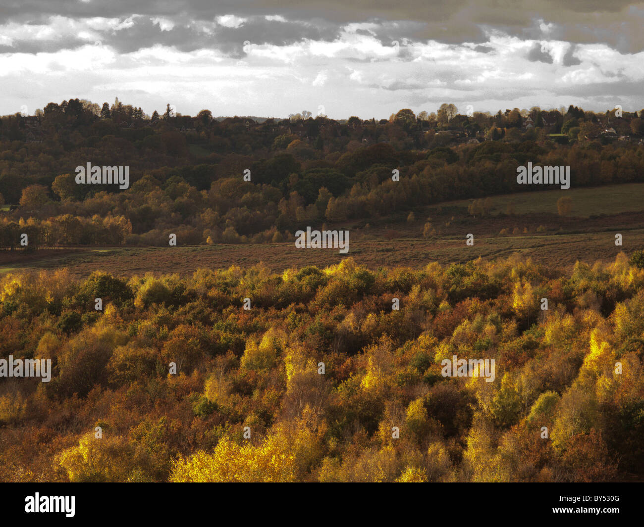 Ashdown forest hi-res stock photography and images - Alamy