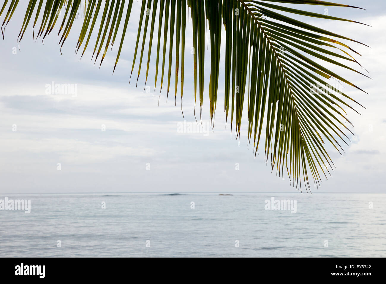 Relaxing, palm tree lined Caribbean coast at the small fishing village ...