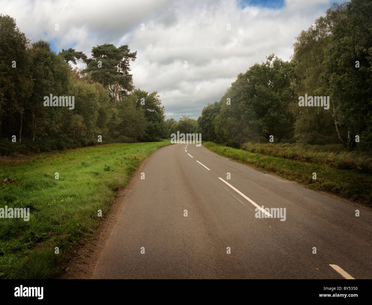 tree lined road going of into the distance Stock Photo - Alamy