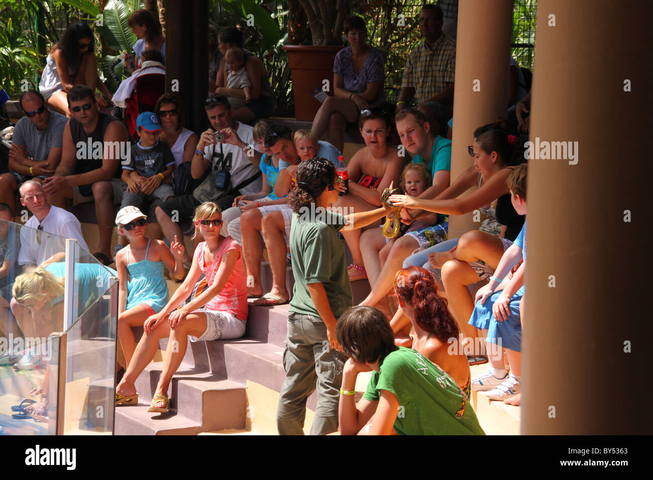 Crowd spectators audience hi-res stock photography and images - Alamy