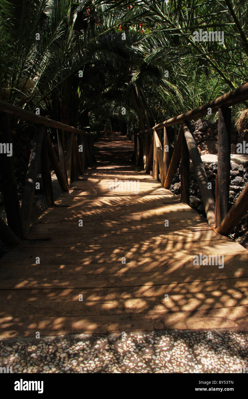 Path in the shade of trees hi-res stock photography and images - Alamy