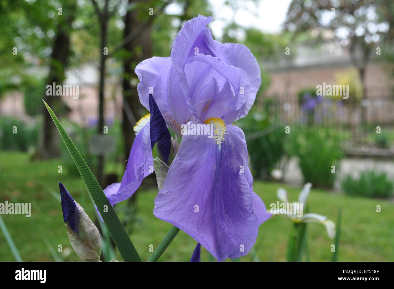 Botanical garden of padua hi-res stock photography and images - Alamy