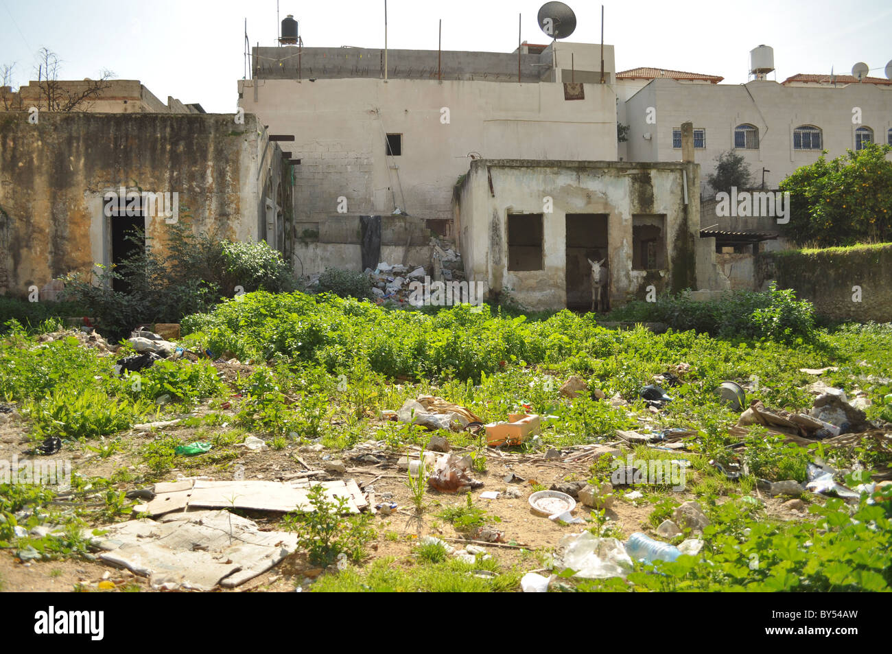 Qalqilya, the center Stock Photo - Alamy