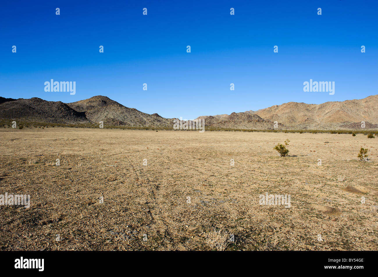 Chukar hunting area in the Western Mojave Desert near Barstow, CA Stock ...