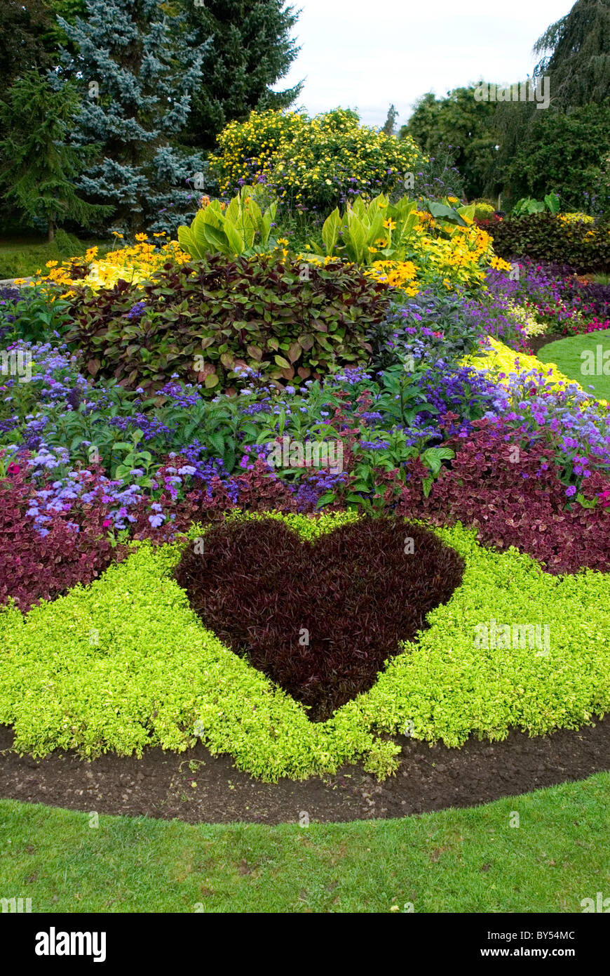 Heart Shaped Flower Bed Scotch Moss Groundcover Heart Flower Patch