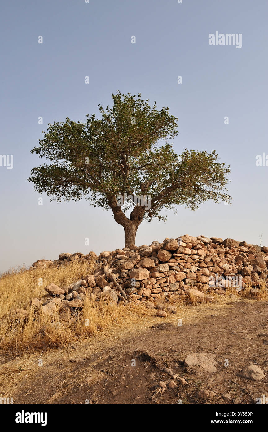 Gobekli Tepe, Turkey 100923 36858 Stock Photo - Alamy