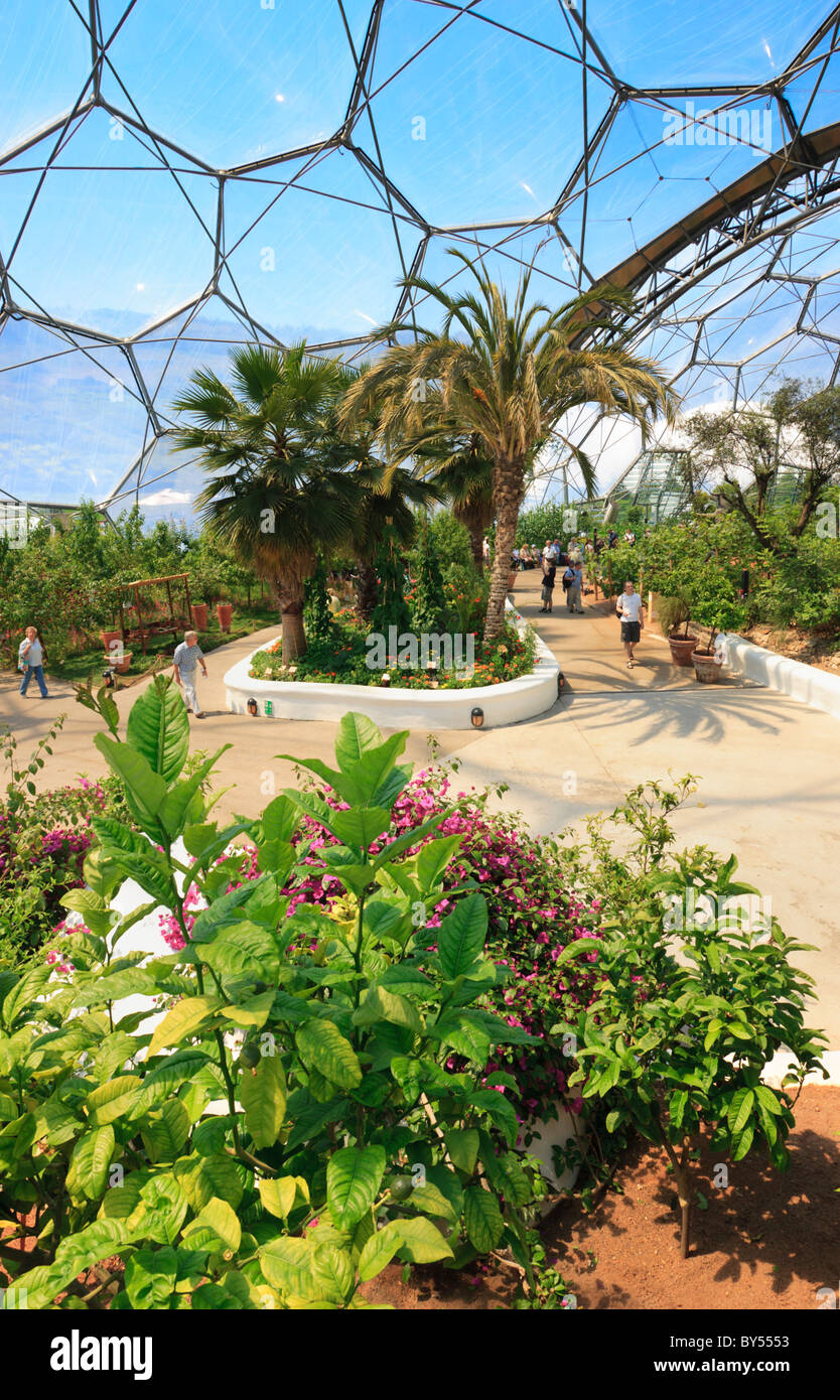 Inside The Mediterranean (Warm Temperate) Biome at the Eden Project ...